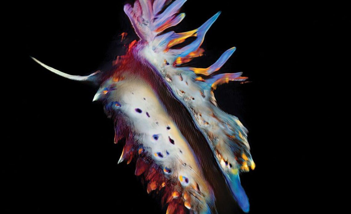 Sub Focus - Evolve (★★★): Een subtiele focus op de roots