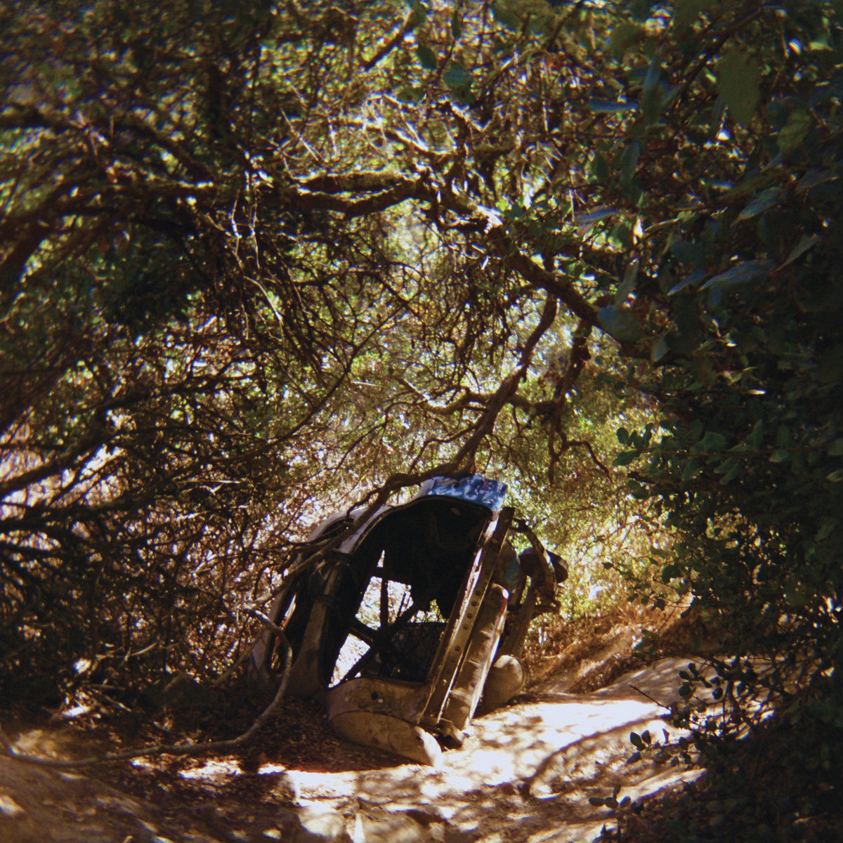 Ty Segall – Possession (★★★★): Strijkers, blazers, een orgel en distortion