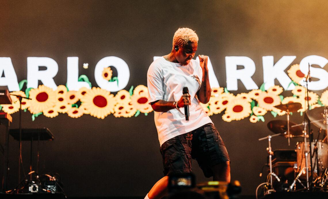 Nieuwe single Arlo Parks - "Blades"